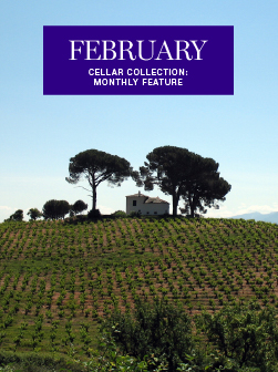 VINTAGES Shop Online | Classics Collection