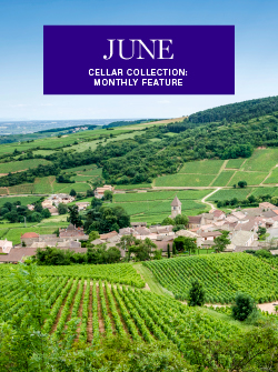 VINTAGES Shop Online | Classics Collection