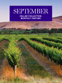 VINTAGES Shop Online | Classics Collection