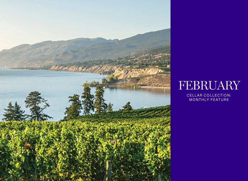 VINTAGES Shop Online | Home