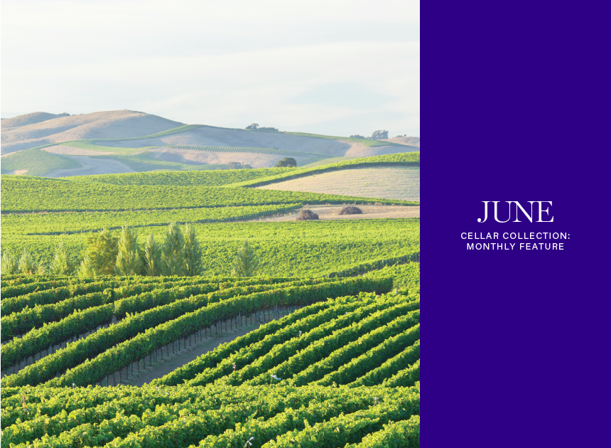 VINTAGES Shop Online | Home