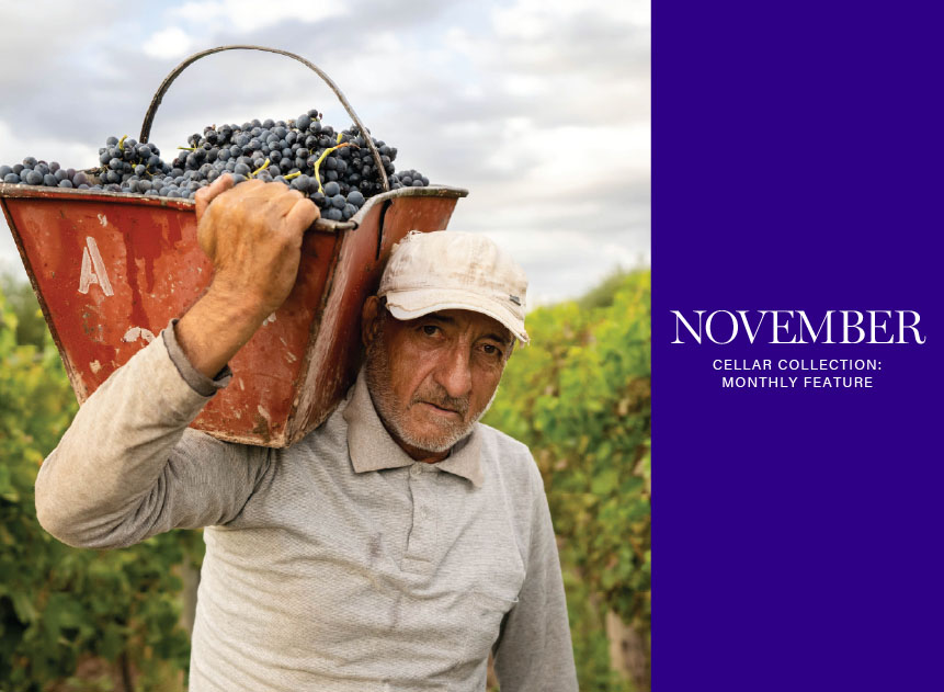 VINTAGES Shop Online | Home