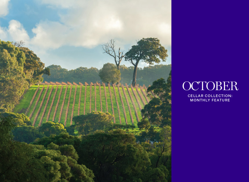 VINTAGES Shop Online | Home